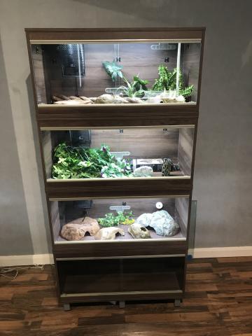 Wooden vivarium stack + lots of extras For Sale in Belvedere, Kent ...