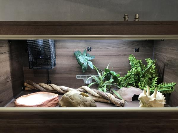 Wooden vivarium stack + lots of extras For Sale in Belvedere, Kent ...