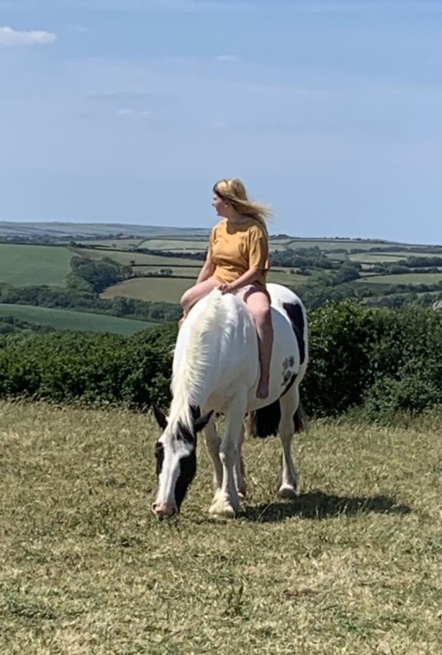 Traditional cob For Sale in Holsworthy, Devon | Preloved