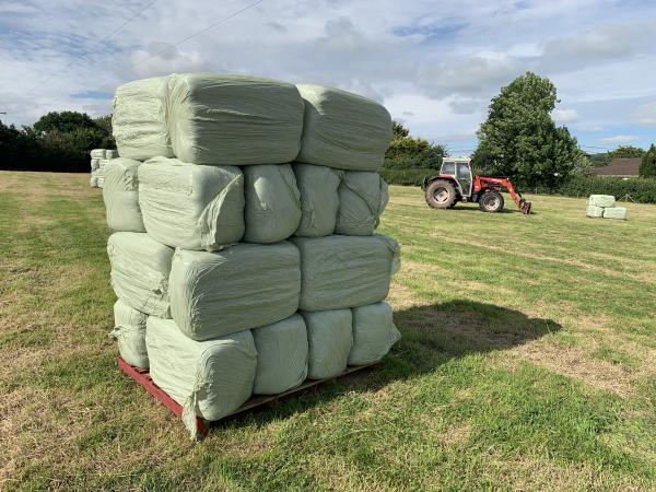 Small square bale haylage For Sale in Cullompton, Devon | Preloved